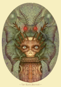 Moths GIFs - Get the best gif on GIFER