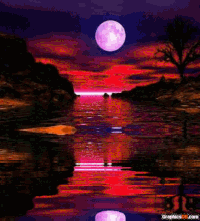 Lua GIFs - Get the best gif on GIFER