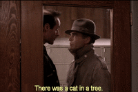 Policy GIFs - Get the best gif on GIFER