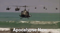 Apocalypse meow GIFs - Get the best gif on GIFER