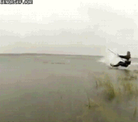 Kite flying festival GIFs - Get the best gif on GIFER