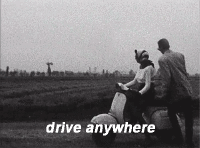 Selective GIFs - Get the best gif on GIFER