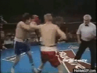 Boxer GIFs - Get the best gif on GIFER