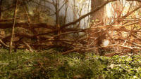 Merge GIFs - Get the best gif on GIFER