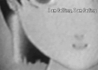 Fading GIFs - Get the best gif on GIFER