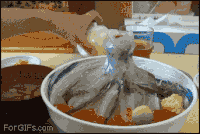 Essen GIFs - Get the best gif on GIFER