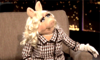 Muppet GIFs - Get the best gif on GIFER