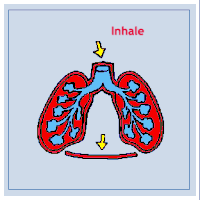 Respiracion GIFs - Get the best gif on GIFER