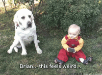 Sitting GIFs - Get the best gif on GIFER