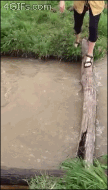 Water under a bridge GIF - Conseguir o melhor gif em GIFER