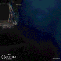 Cinderella GIFs - Get the best gif on GIFER