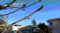 Useless GIFs - Get the best gif on GIFER