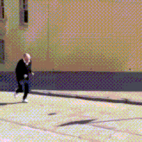 Flapping GIFs - Get the best gif on GIFER