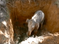 Holes GIFs - Get the best gif on GIFER