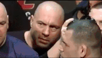 Ufc GIFs - Get the best gif on GIFER