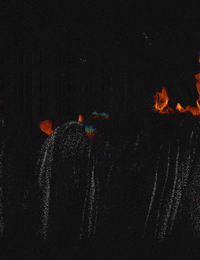 Compression GIFs - Get the best gif on GIFER