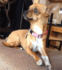 Sitting GIFs - Get the best gif on GIFER