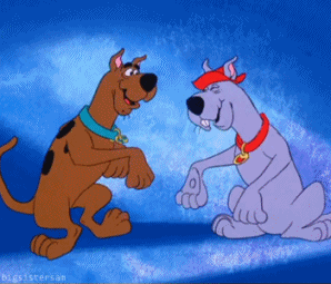 Scooby doo show GIFs - Get the best gif on GIFER