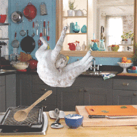 Cooking GIFs - Get the best gif on GIFER