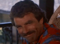 Moustache GIFs - Get the best gif on GIFER