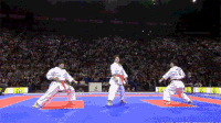 Martial arts GIFs - Get the best gif on GIFER