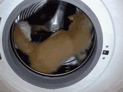 Dryers GIFs - Get the best gif on GIFER