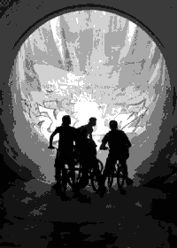 Bicycle GIFs - Get the best gif on GIFER