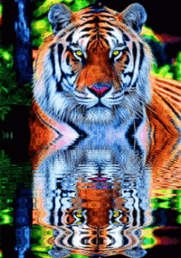 Totem GIFs - Get the best gif on GIFER