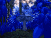 Mushroom GIFs - Get the best gif on GIFER