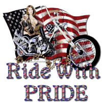 Biker GIFs - Get the best gif on GIFER