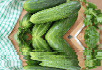 Vegetable GIFs - Get the best gif on GIFER