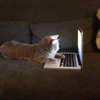 Mails GIFs - Get the best gif on GIFER