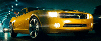 Bumblebee GIFs - Get the best gif on GIFER