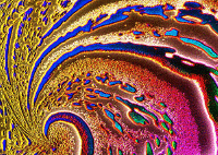 Visualization GIFs - Get the best gif on GIFER