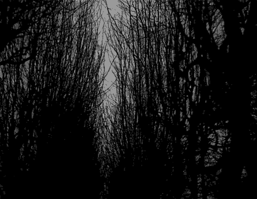 Scary place GIF - Conseguir o melhor gif em GIFER