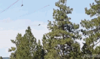 Zipline GIFs - Get the best gif on GIFER