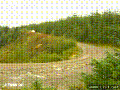 Snowdrift GIFs - Get the best gif on GIFER