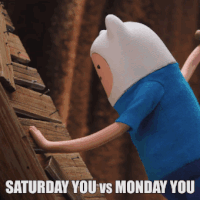 Productivity GIFs - Get the best gif on GIFER