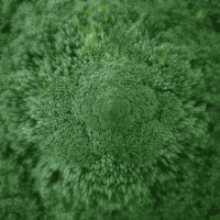 Broccoli GIFs - Get the best gif on GIFER
