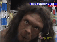 Caveman GIFs - Get the best gif on GIFER