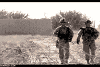 Gar GIFs - Get the best gif on GIFER