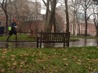 50k GIFs - Get the best gif on GIFER