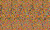 Stereograms GIFs - Get the best gif on GIFER