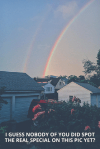 Anomalies GIFs - Get the best gif on GIFER