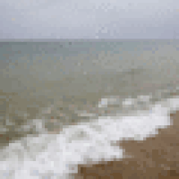 Footprints GIFs - Get the best gif on GIFER