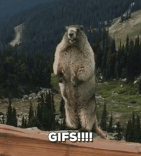 Screamin GIFs - Get the best gif on GIFER
