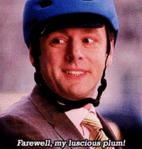 Choosing GIFs - Get the best gif on GIFER