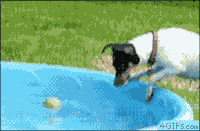 Cautious GIFs - Get the best gif on GIFER