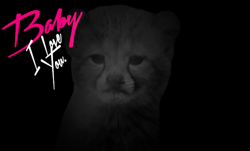 Digable planets GIF - Conseguir o melhor gif em GIFER