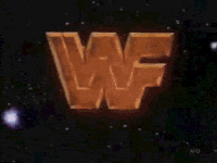 Wwf wrestling GIFs - Get the best gif on GIFER